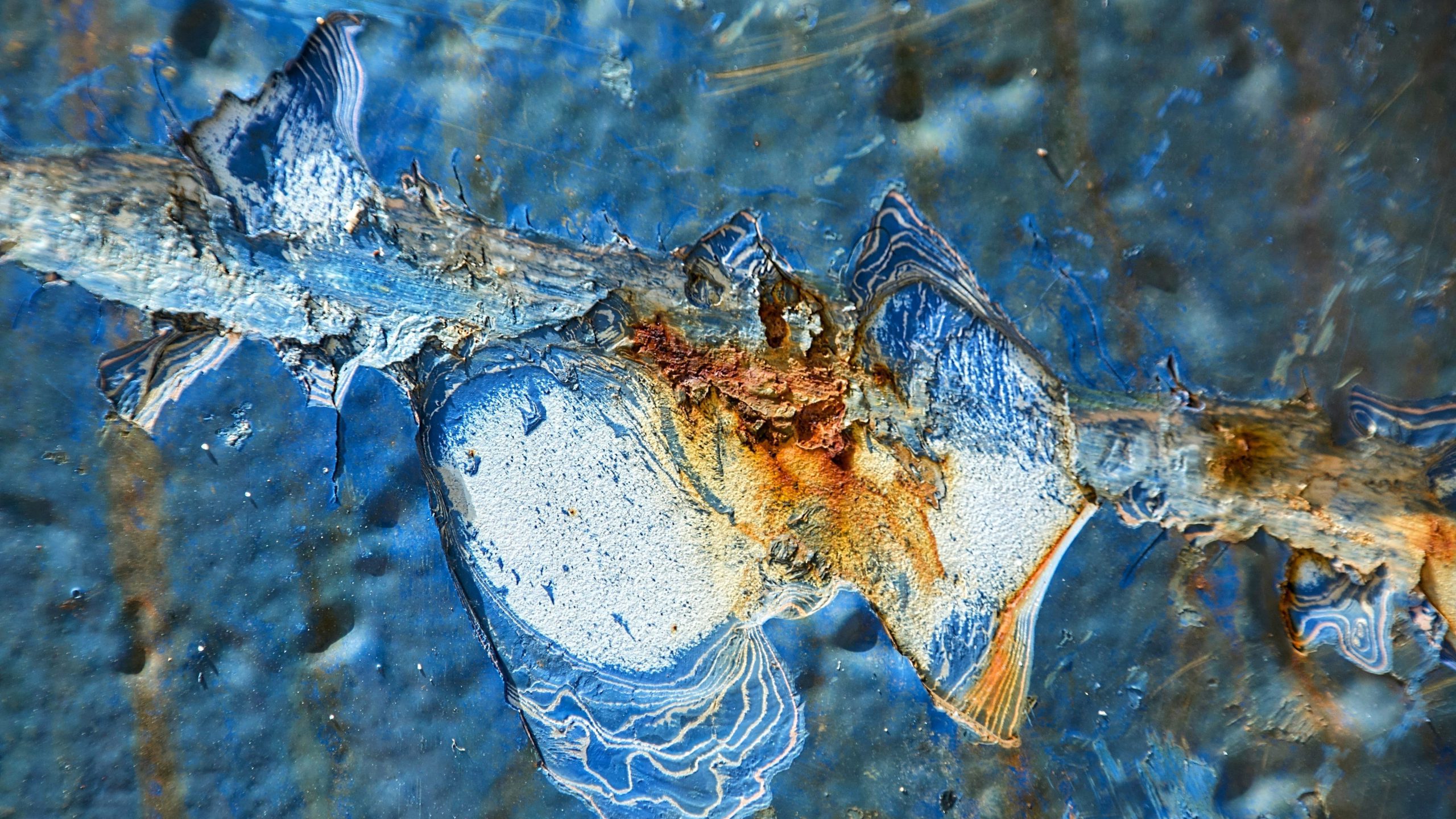 Expositie met abstracte fotografie in De Open Hof – Omroep Hoeksche Waard