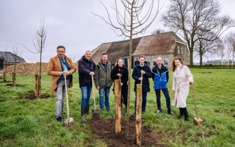 Hoeksche Waard krijgt groene impuls met duizenden bomen en struiken ...
